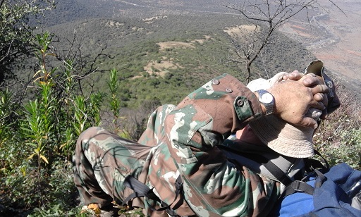 Bloukop must die! – ZS2DH