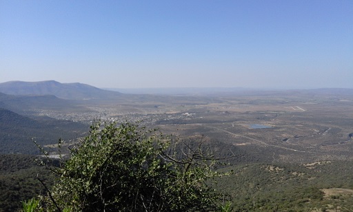 Bloukop must die! – ZS2DH