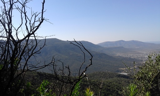 Bloukop must die! – ZS2DH